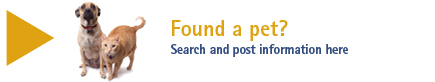 Search Adoptable & Lost/Found Animals Online