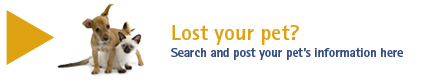 Search Adoptable & Lost/Found Animals Online